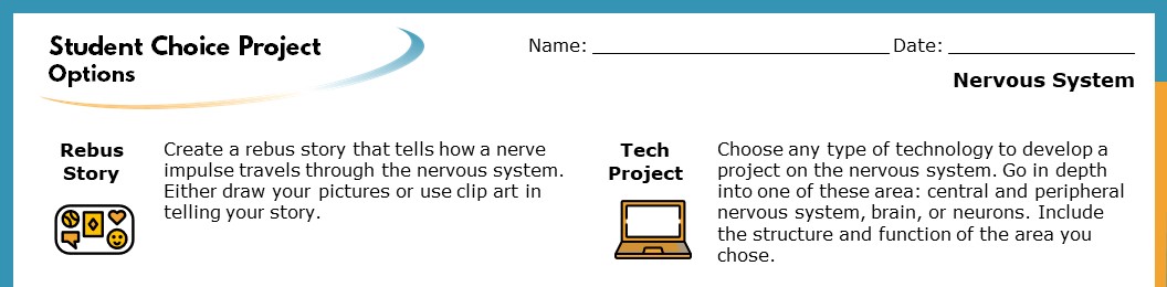 Nervous System Lesson Plan – A Complete 5E Method Science Unit